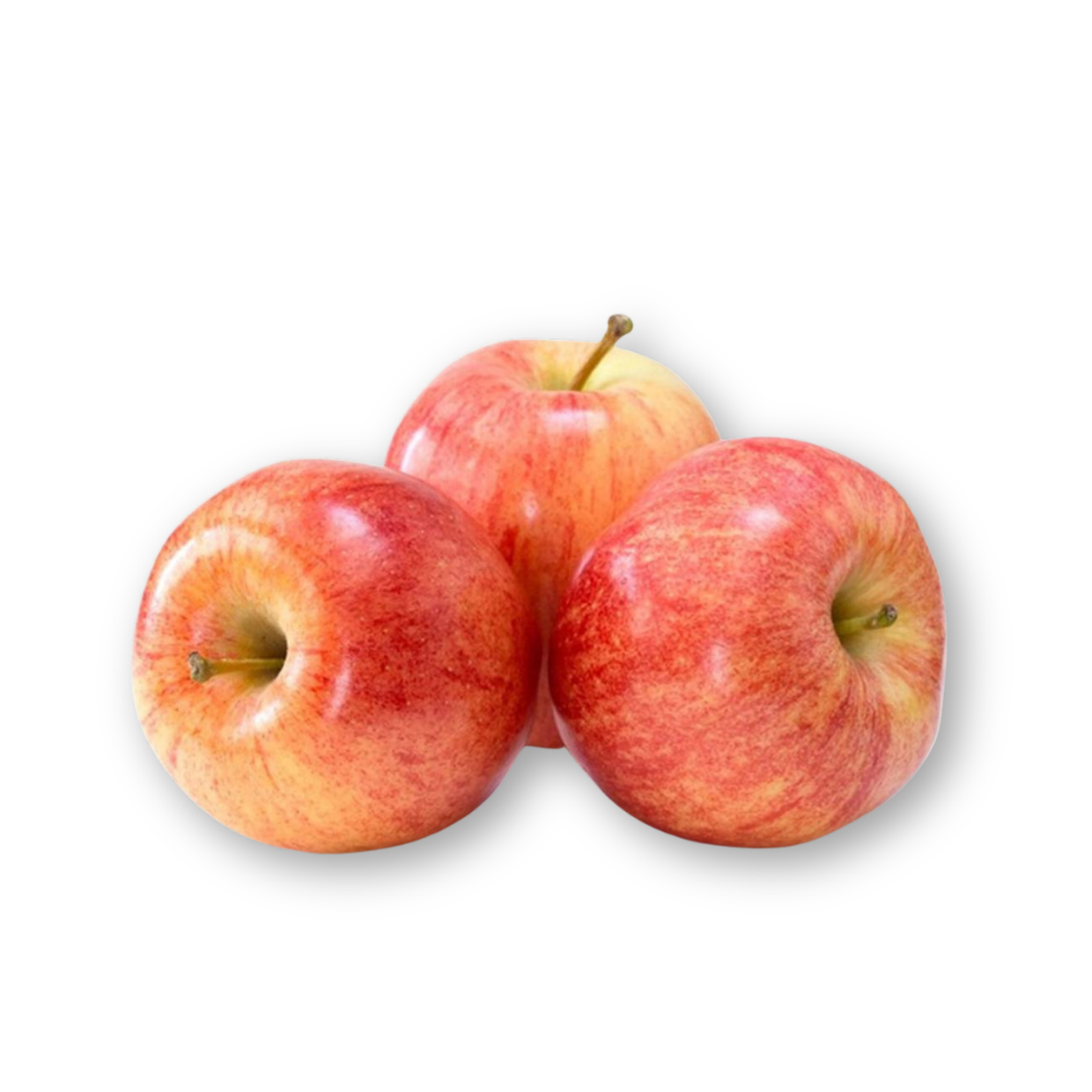 Apple Gala South Africa – UNS Farms