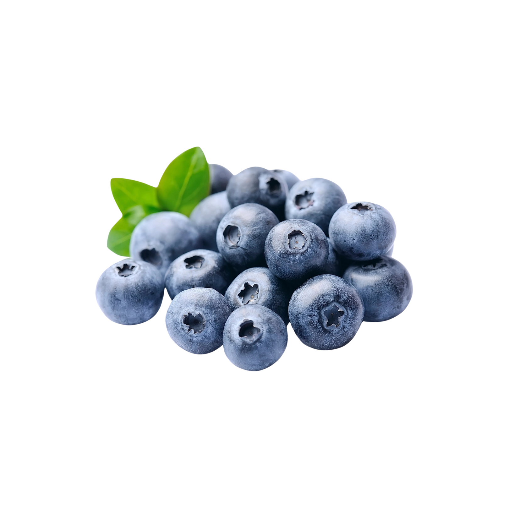 Fresh, juicy UAE blueberries. – UNS Farms