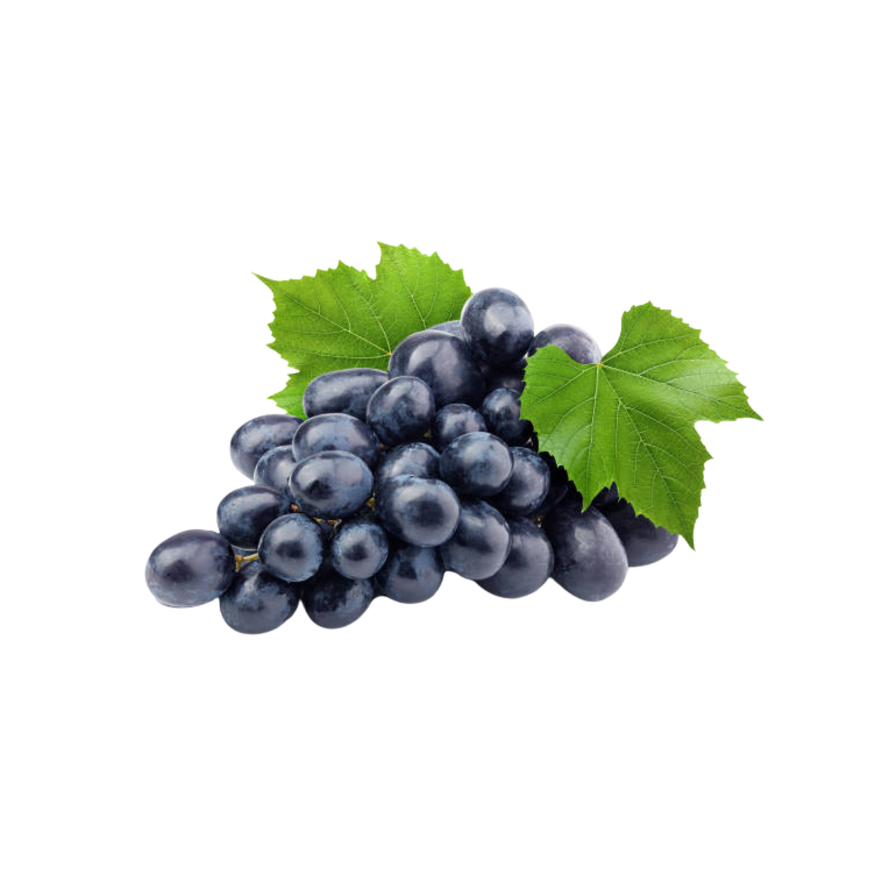 Sweet Indian black PP grapes with firm, juicy texture. – UNS Farms