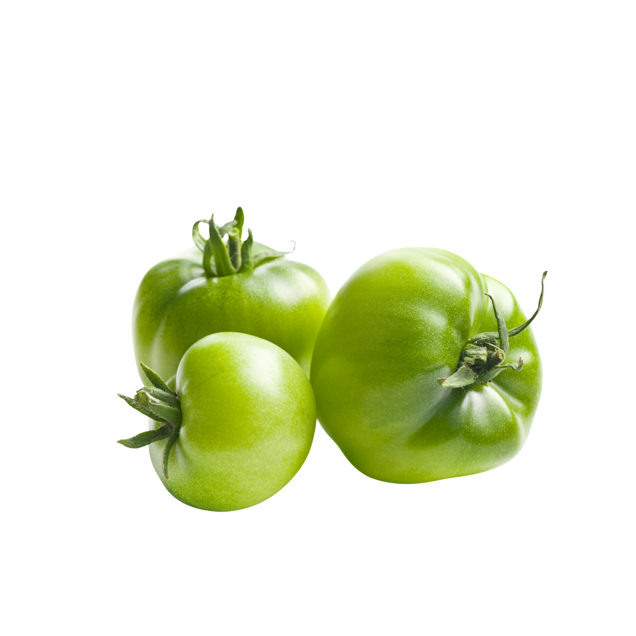 Tangy, firm green tomatoes from Holland. – UNS Farms