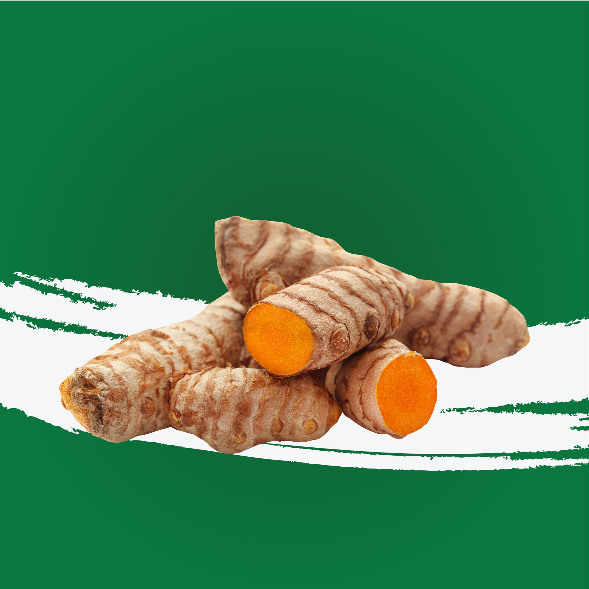 Aromatic golden Indian turmeric root. – UNS Farms